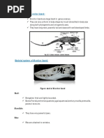 Tiger Anatomy and Skeletal Structure | PDF | Vertebral Column ...