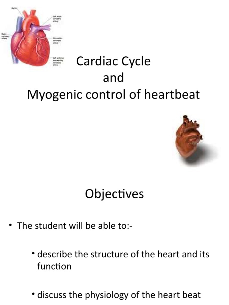 Cardiac Cycle and Myogenic Control of Heartbeat | PDF | Heart Valve ...