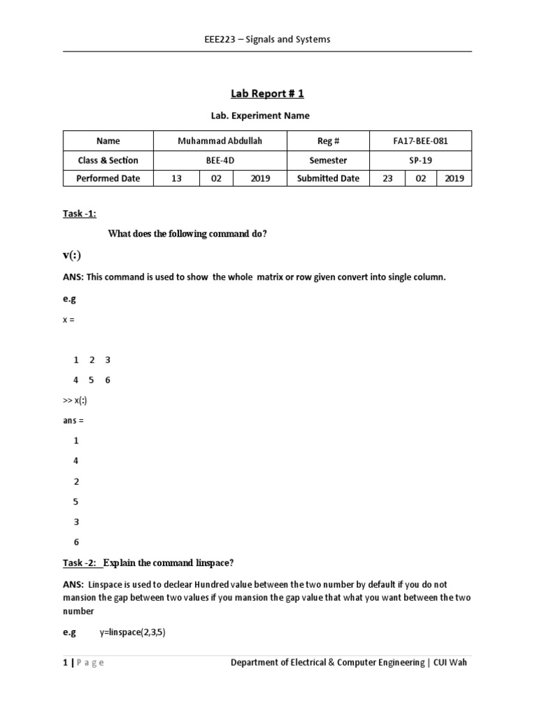 Lab Report Template (SNS) 1 | PDF | Discrete Time And Continuous Time | Matrix (Mathematics)