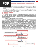 Anatomie de l'appareil digestif de la vache | PDF | Bovins domestiques ...