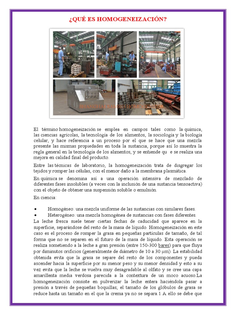 Qué Es Homogeneización | PDF