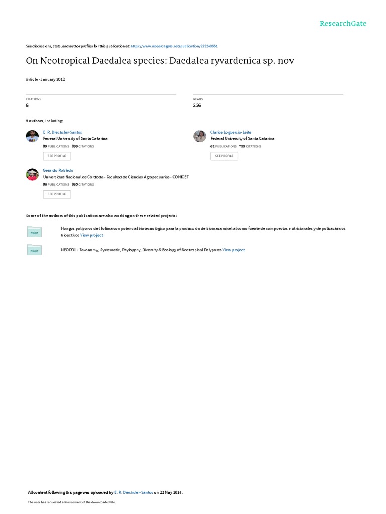 On Neotropical Daedalea Species: Daedalea Ryvardenica Sp. Nov | PDF ...