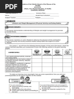 The Filipino Pyramid Activity Guide | PDF | Wellness