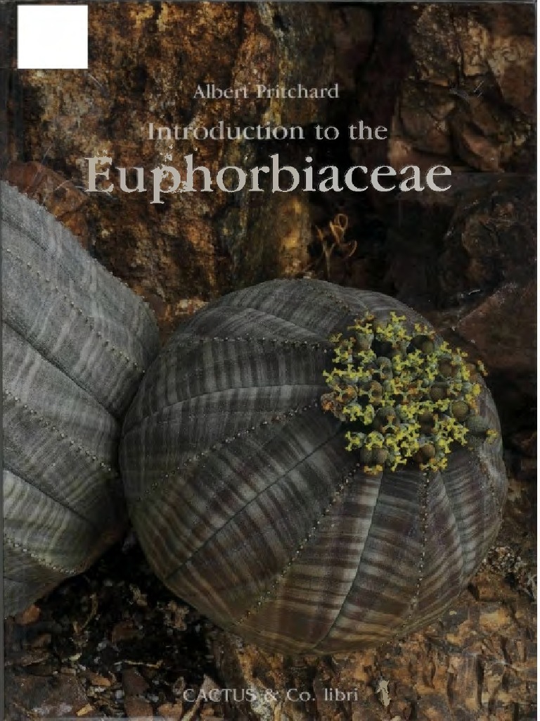 (Albert Pritchard Cactus & Co) Introduction To TH PDF | PDF | Leaf ...