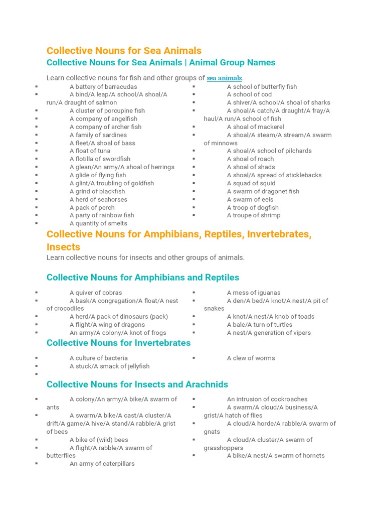 Collective Nouns for Sea Animals | PDF | Fish | Zoology