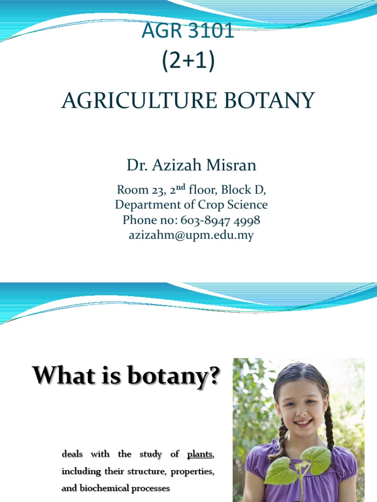 Agricultural Botany Overview | PDF | Plants | Branches Of Botany