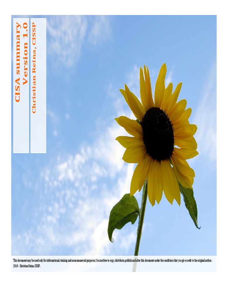 Cisa Summary V1 0 Pdf Pdf Payment Card Industry Data Security