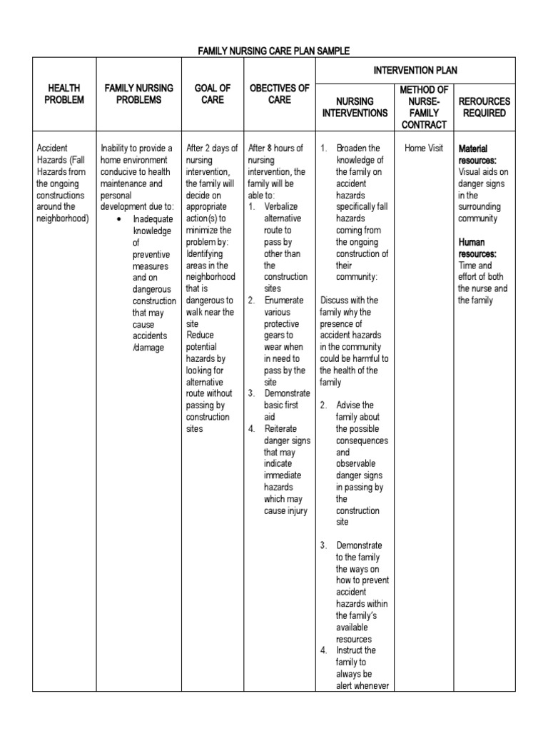 FNCP Example | PDF | Nursing | Hazards