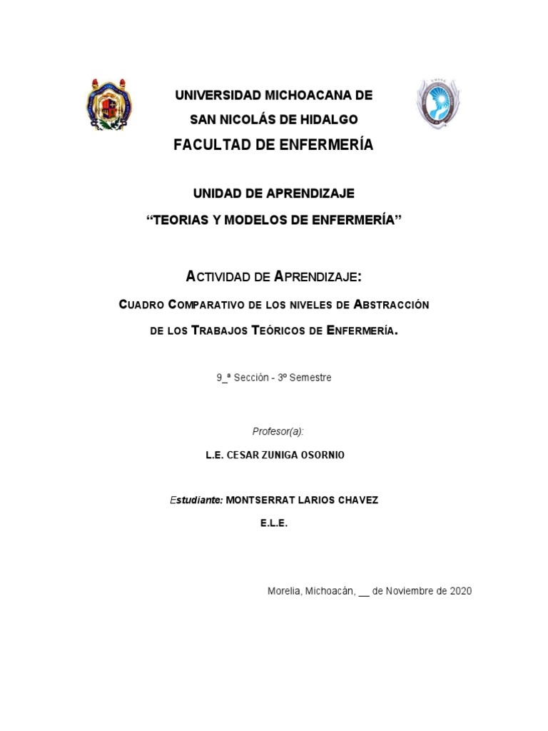 Niveles de Abstraccion | PDF | Enfermería | Teoría Niveles de Abstraccion | PDF | Enfermería | Teoría