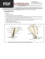 Netter - Atlas of Human Anatomy | PDF | Abdomen | Pelvis