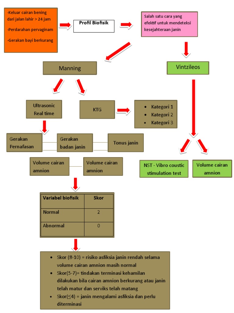 Mindmap-Profil Biofisik | PDF