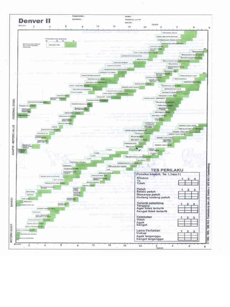 Form Denver Ii-Indonesia | PDF