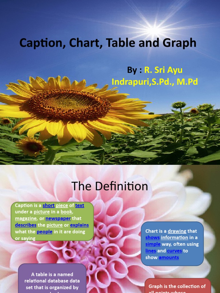Understanding Visual Representations: Definitions and Examples of ...
