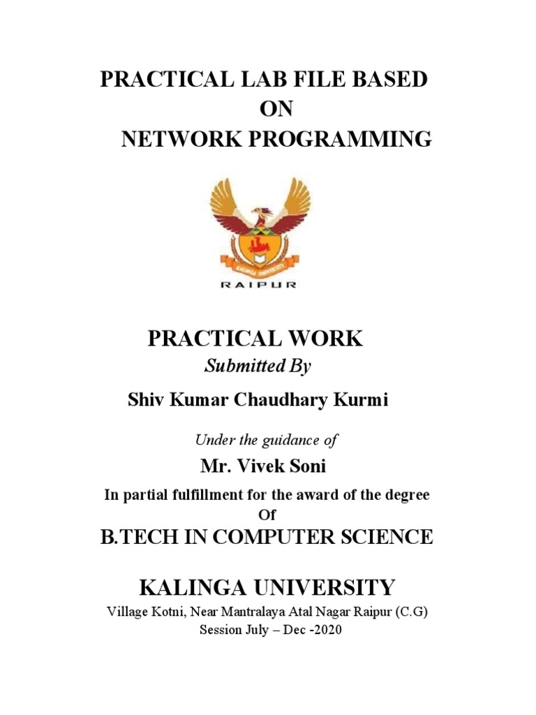 Practical Lab File Based On Network Programming Shiv Kumar Chaudhary Kurmi Mr Vivek Soni Pdf