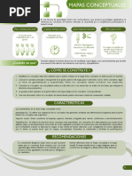 Cómo hacer un mapa cognitivo de panal | PDF