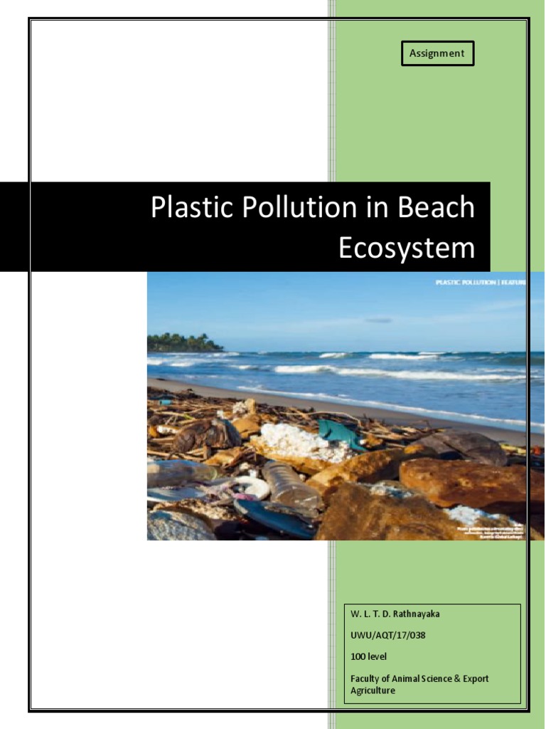 Plastic Pollution in Beach Ecosystem: Assignment | PDF | Plastic | Reuse