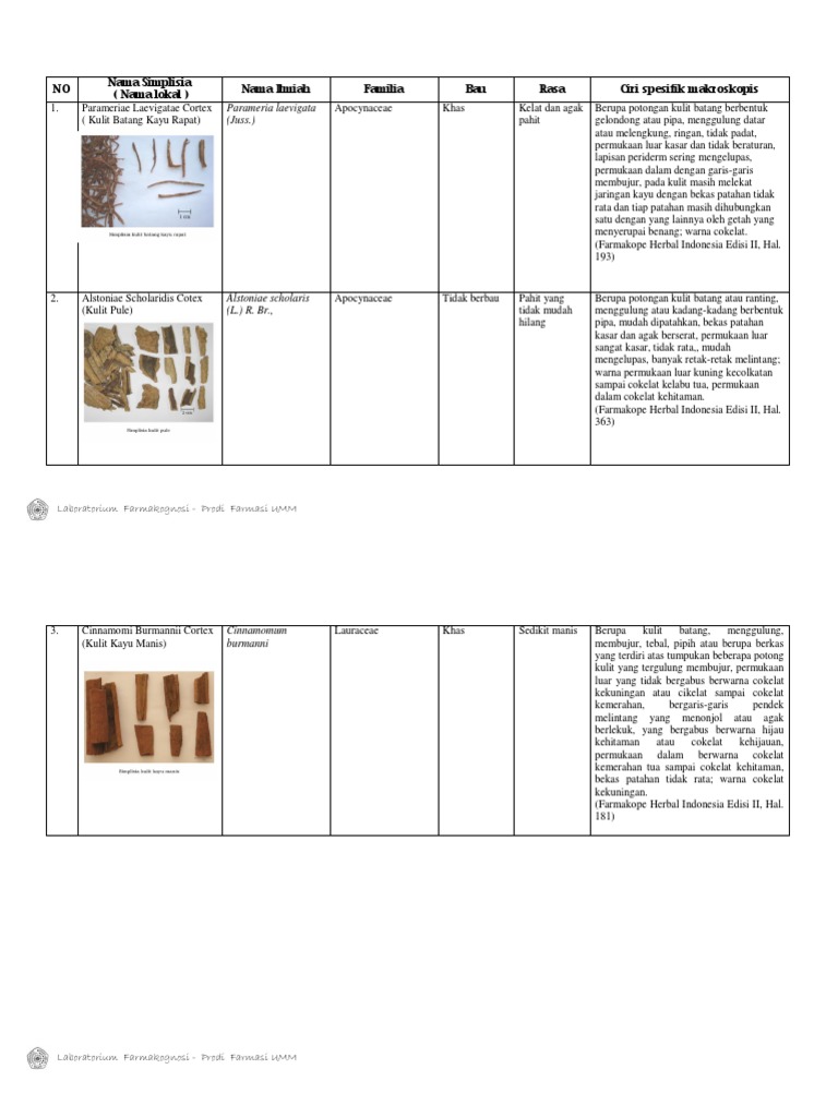 Karakteristik Simplisia Cortex Herbal | PDF