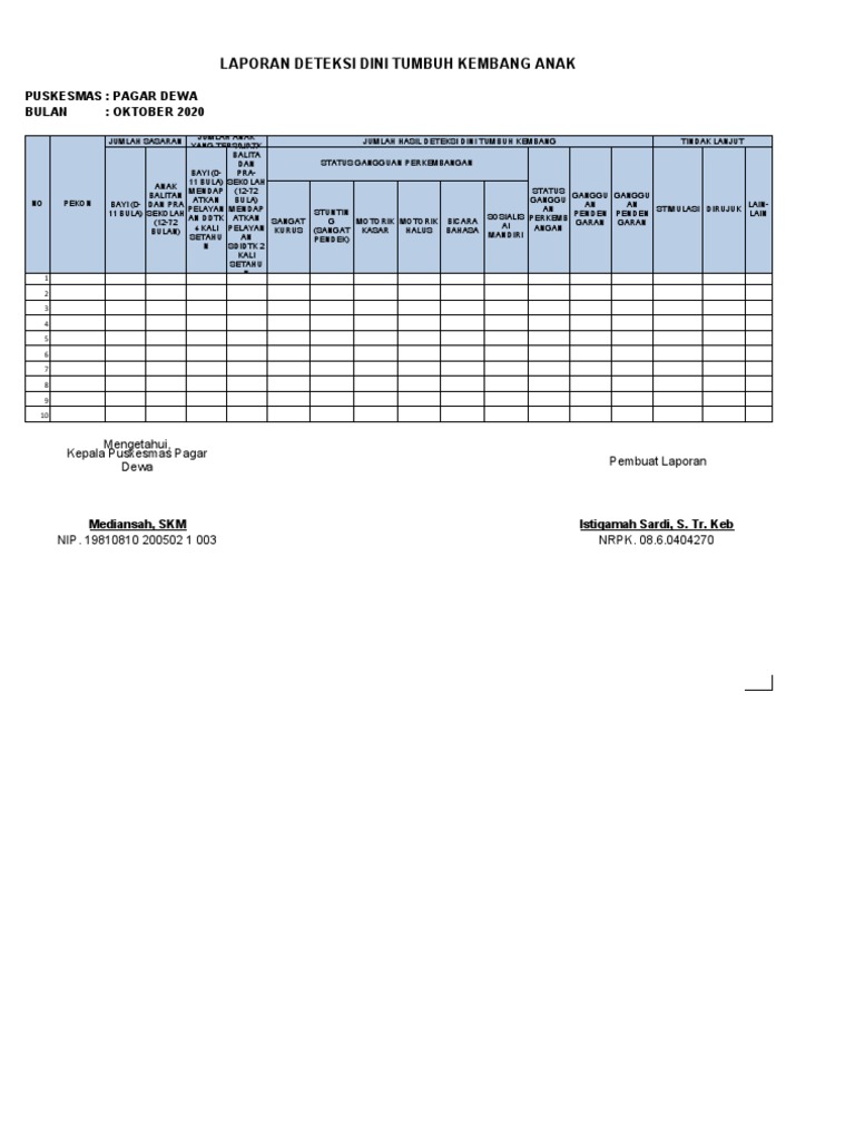 Format Laporan Sdidtk | PDF