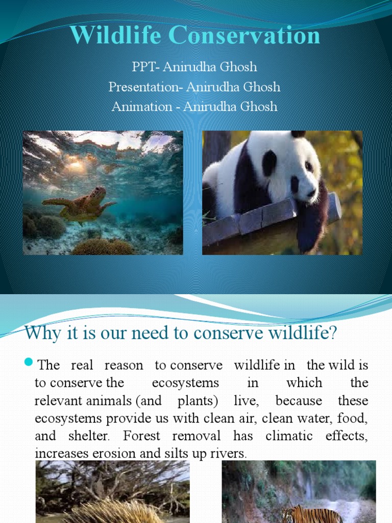 Importance of Wildlife Conservation | PDF | Science & Mathematics