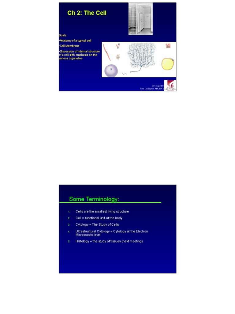 CH 2: The Cell: Goals | PDF | Endoplasmic Reticulum | Mitosis