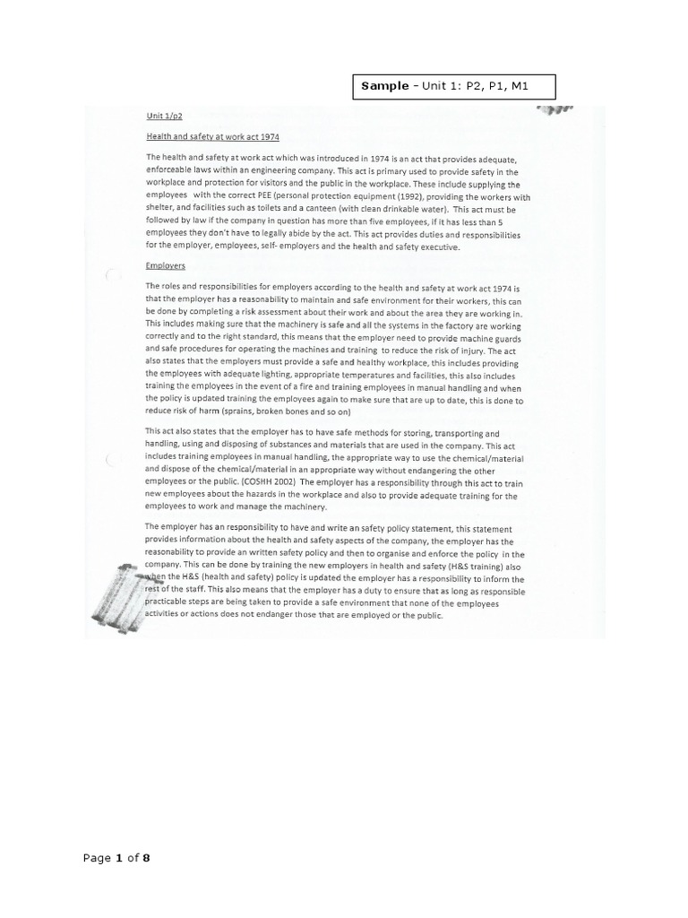 Sample - Unit 1: P2, P1, M1 | PDF | Business | Science & Mathematics