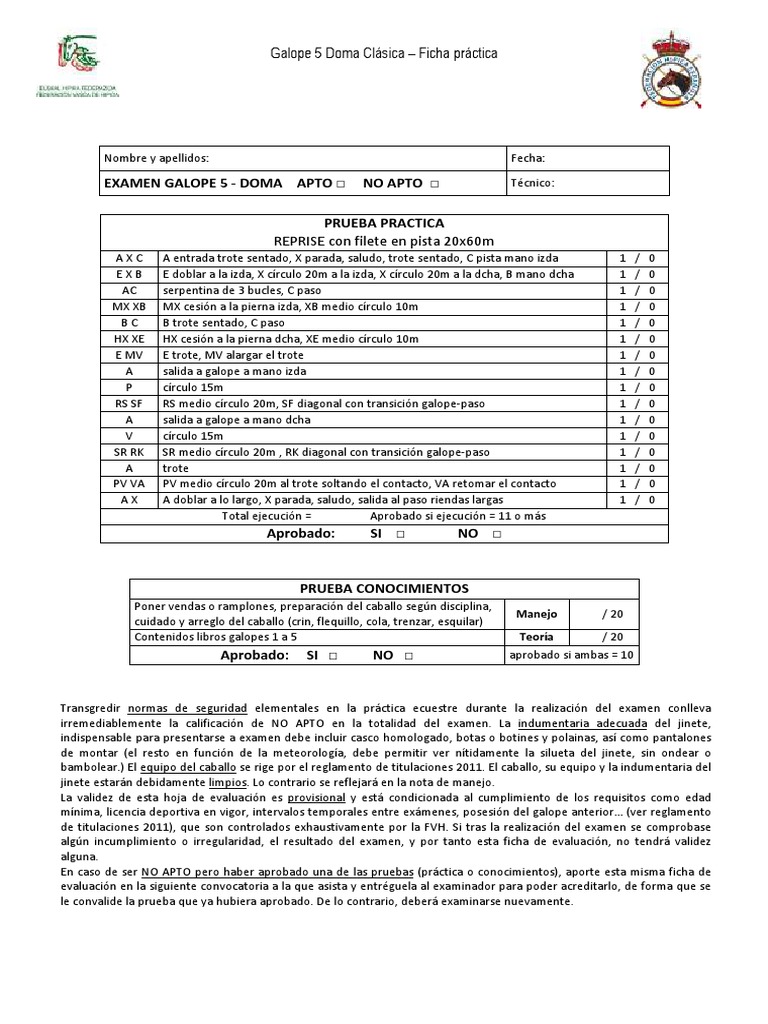 Ficha Práctica Galope 5 Doma | PDF | Équidos | Equus (Género)