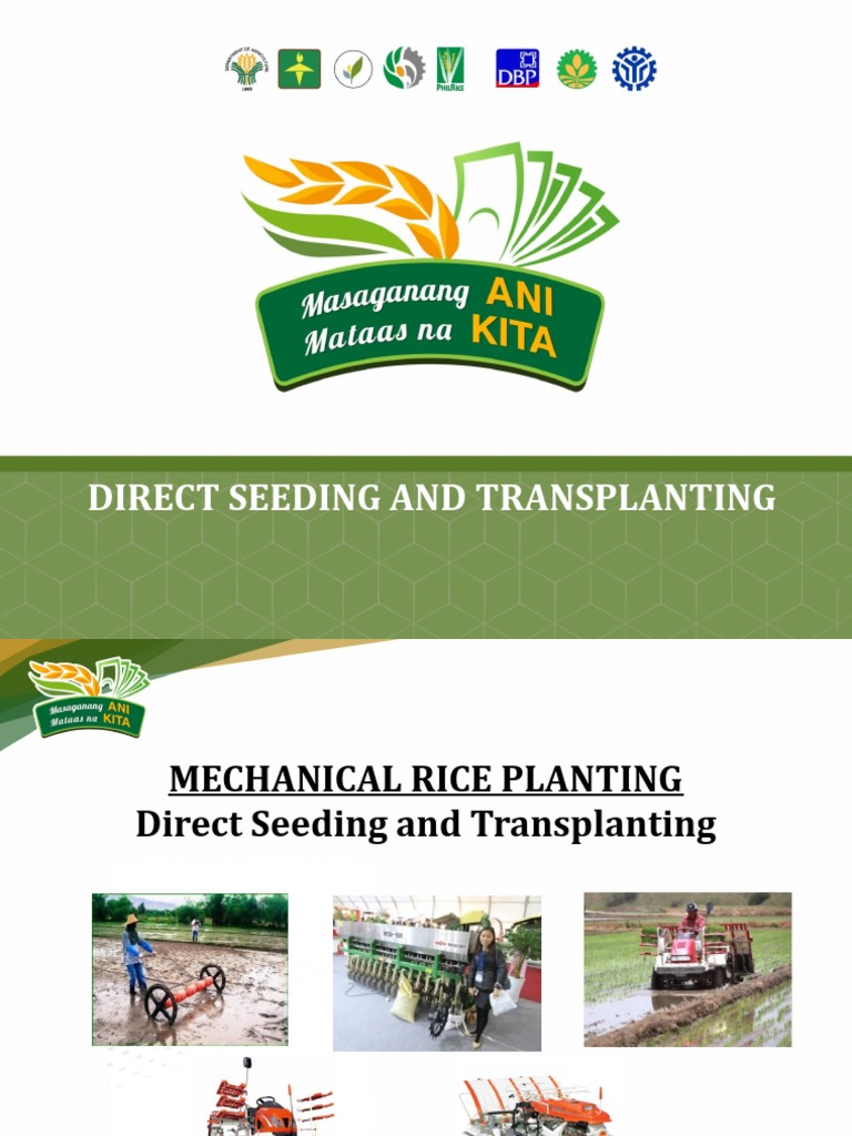 Direct Seeding vs. Transplanting Rice | PDF | Transmission (Mechanics ...