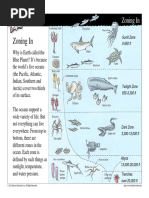 How Deep Is The Ocean? | PDF