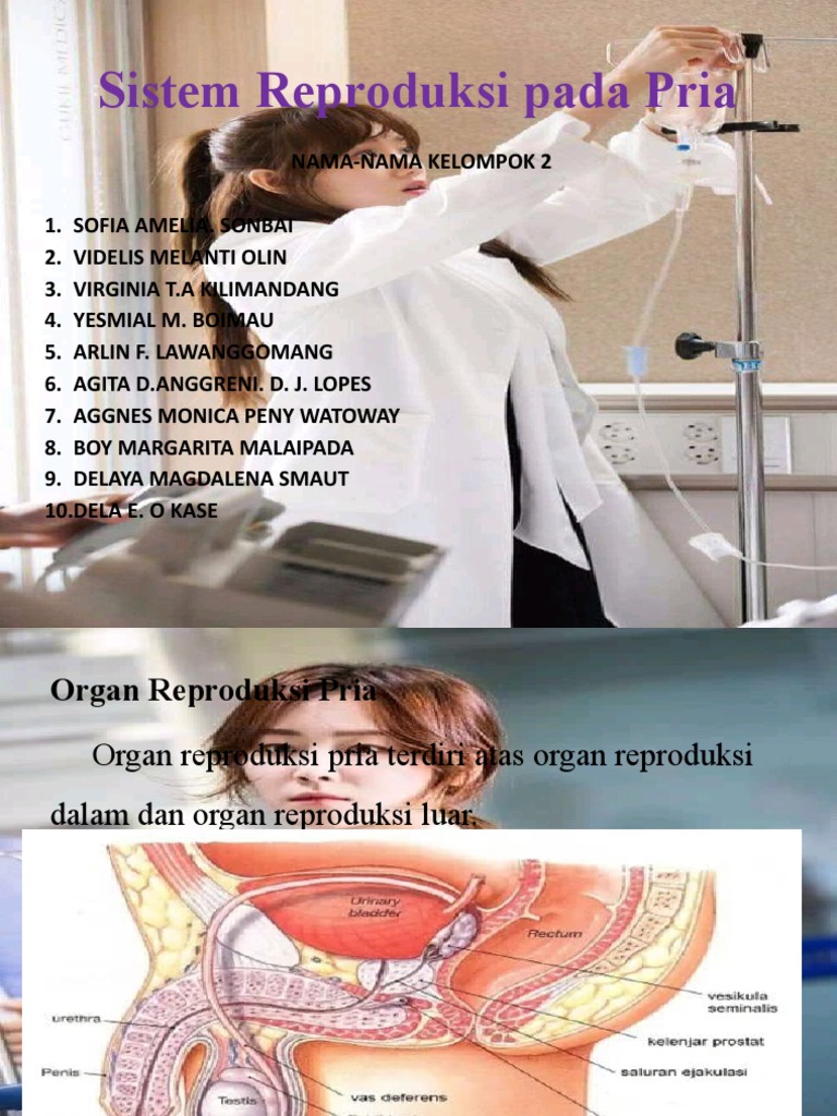 Sistem Reproduksi Pada Pria | PDF