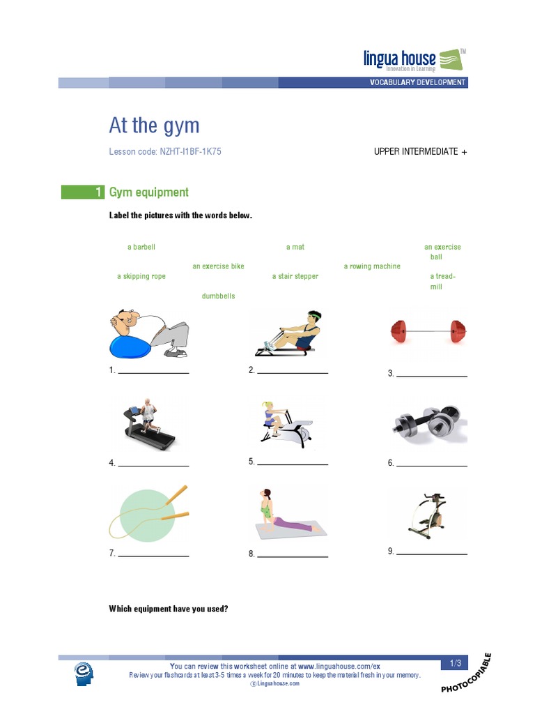 Gym Vocabulary: Building Fitness Knowledge | PDF | Strength Training ...