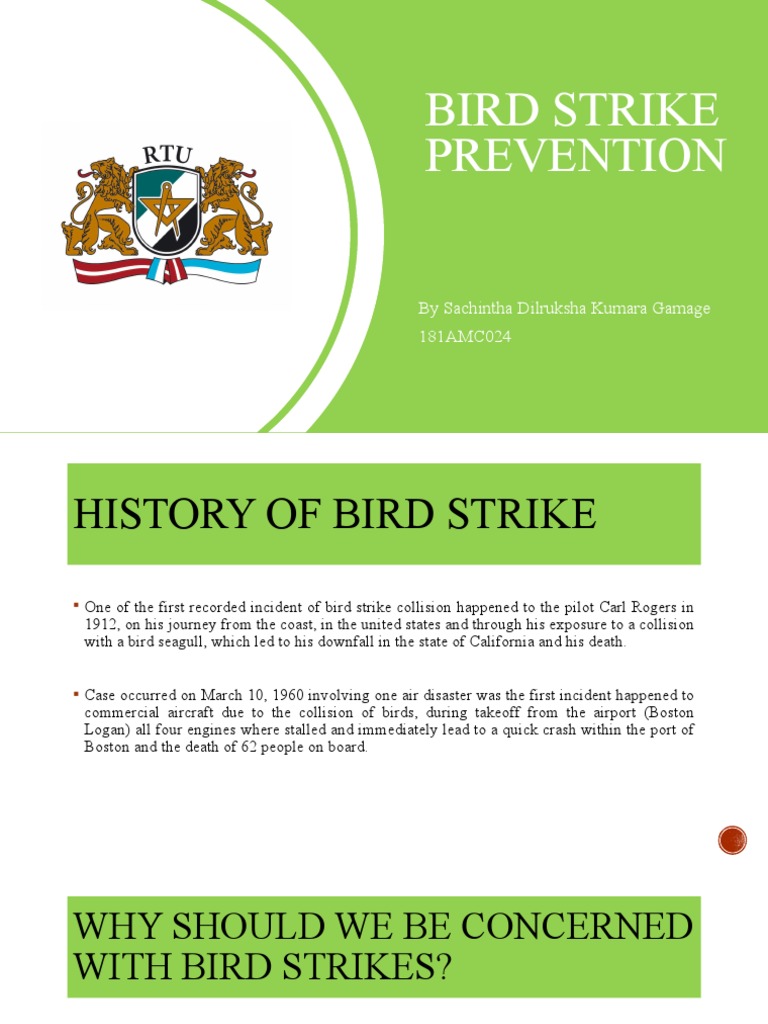 Bird Strike Prevention Presentation | PDF | Aviation Accidents And ...