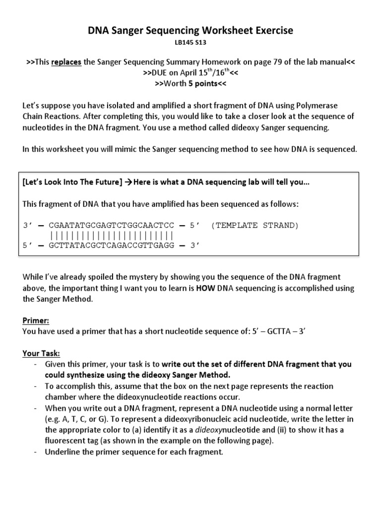 DNA Sanger Sequencing Worksheet Exercise: TH TH | PDF | Dna Sequencing ...