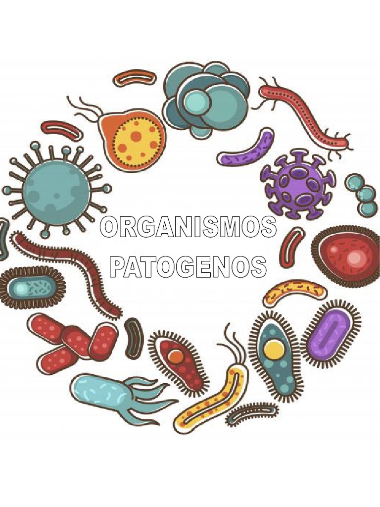 Agentes Patogenos PDF | PDF | Virus | Las bacterias