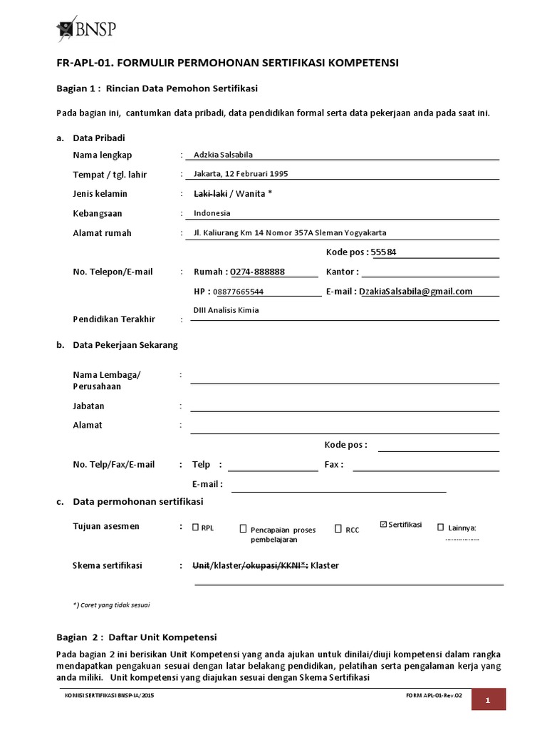 Contoh Pengisian FR APL 01 Dan 02 | PDF