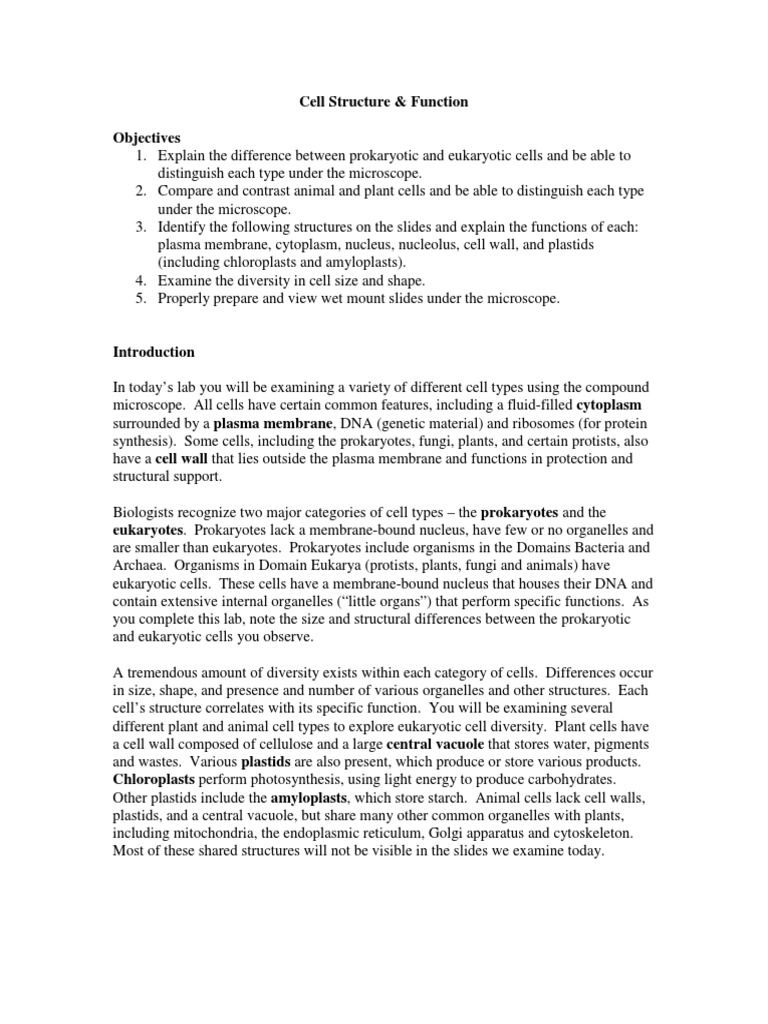 Cell Structure And Function Objectives Pdf Eukaryotes Cell Biology
