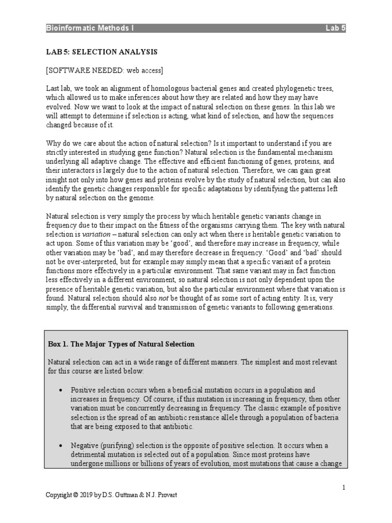 Lab 5: Selection Analysis: Bioinformatic Methods I Lab 5 | PDF | Point ...