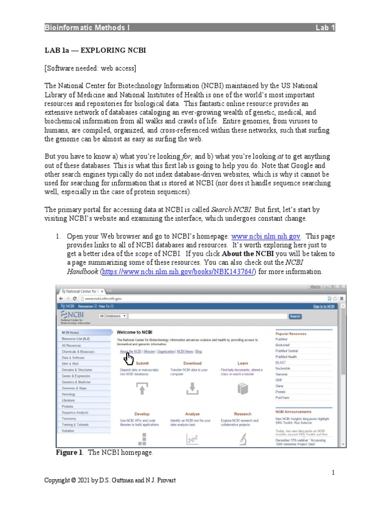 Lab 1A - Exploring Ncbi: Bioinformatic Methods I Lab 1 | PDF | National ...