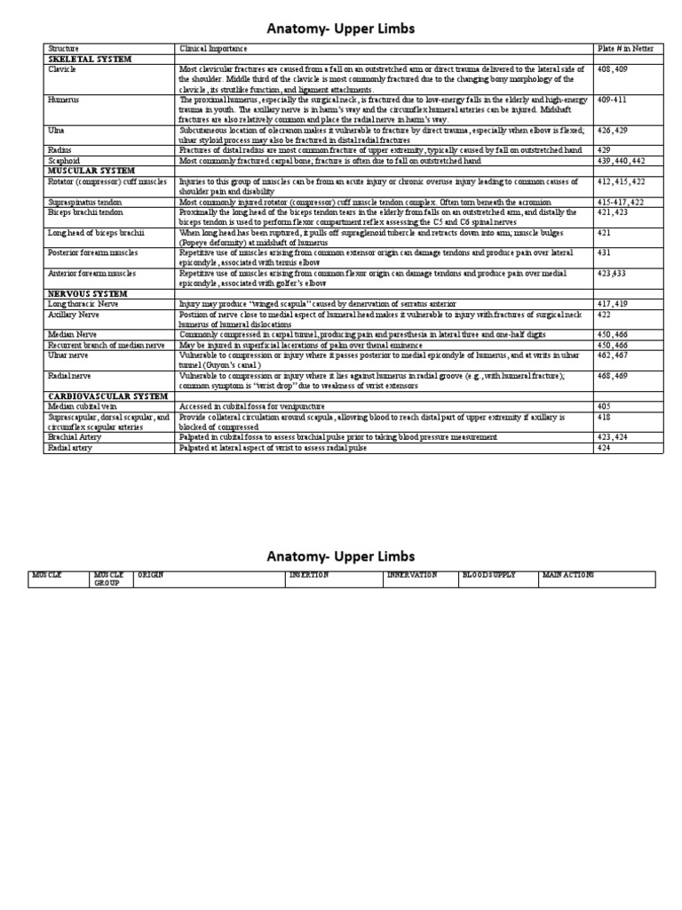 Upper Limb Anatomy Overview | PDF | Thumb | Arm