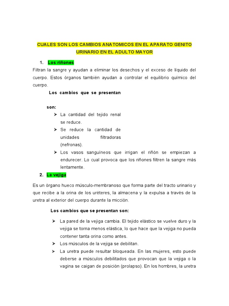 Aparato Genito Urinario | PDF | Sistema urinario | Vejiga urinaria