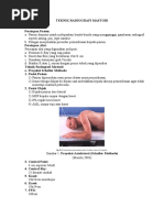 Thorax PA, AP Dan Lateral, RLD Dan LLD | PDF