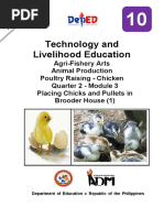 Poultry Terminologies and Definition | PDF | Chicken | Poultry