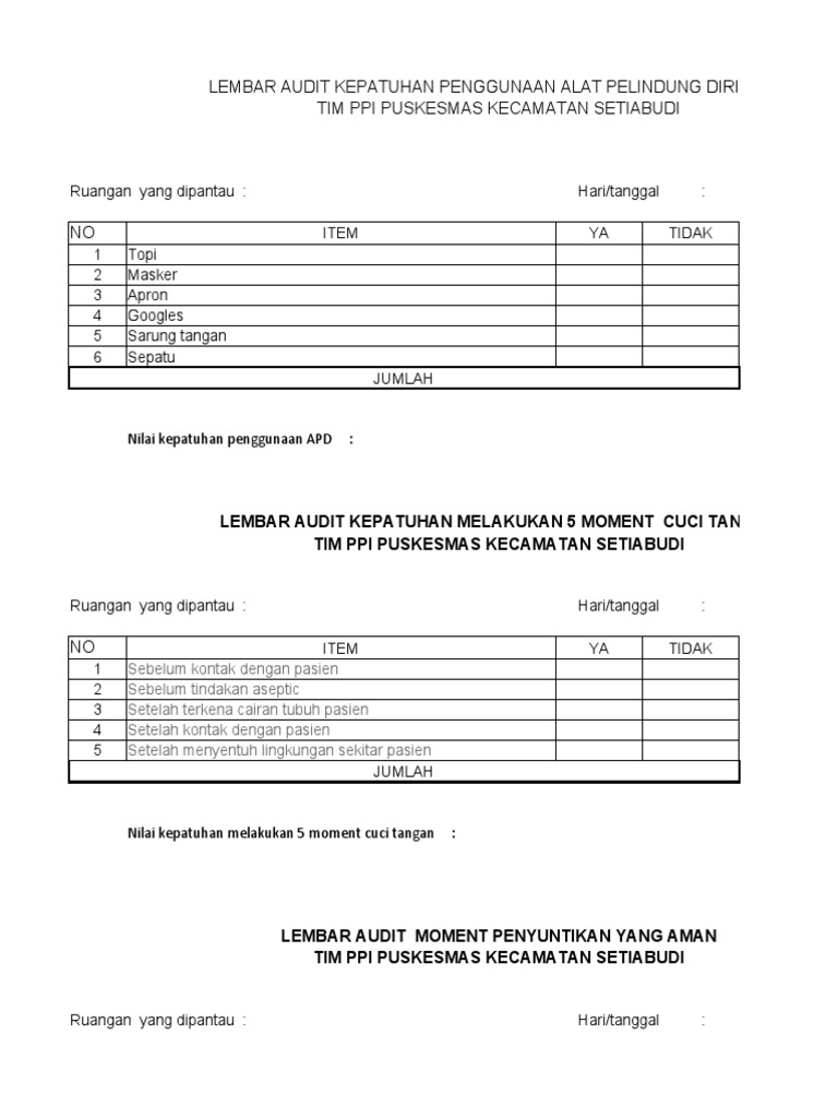 Form Audit PPI | PDF