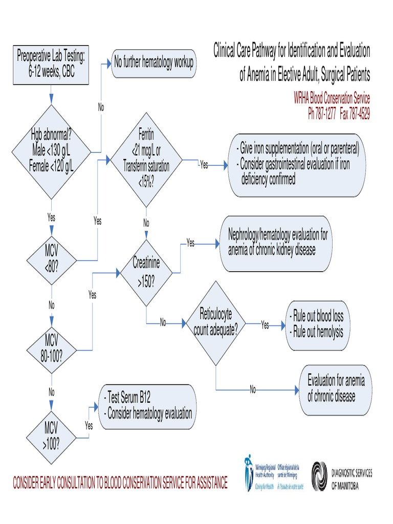 Anemia Care Pathway | PDF | Anemia | Medical Treatments