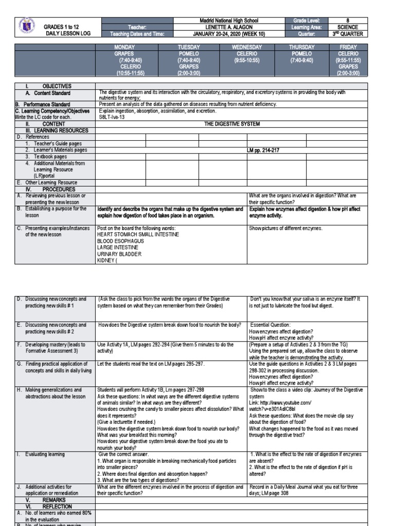 DLL G8 W10 | PDF | Digestion | Human Digestive System