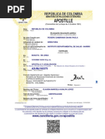 Formato de Apostilla Colombiana | PDF