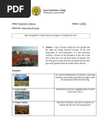 The Cay Final Project | PDF