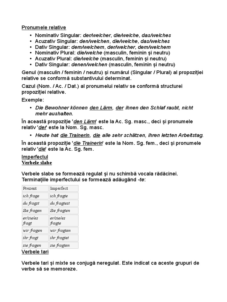 Pronume Relativ Exemple | PDF