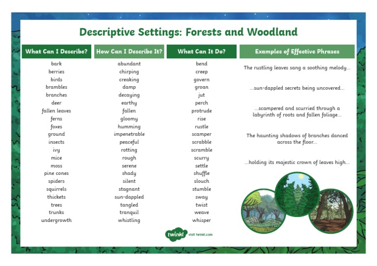 Descriptive Words for Forests | PDF