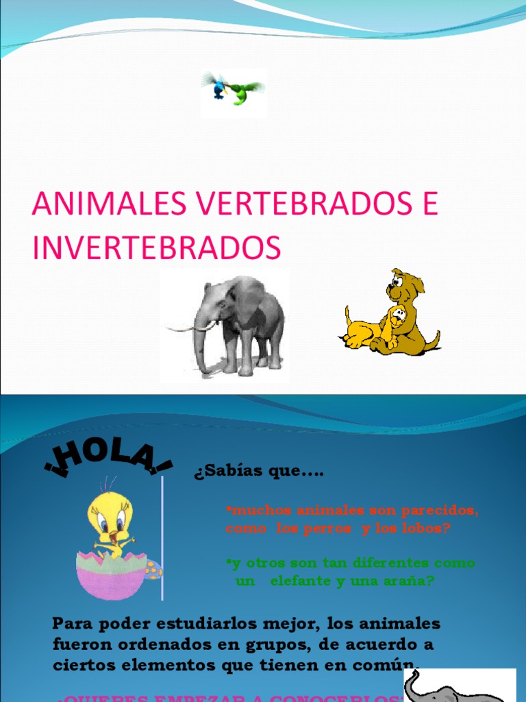 ANIMALES VERTEBRADO Power | PDF | Artes del Lenguaje y Comunicación ...