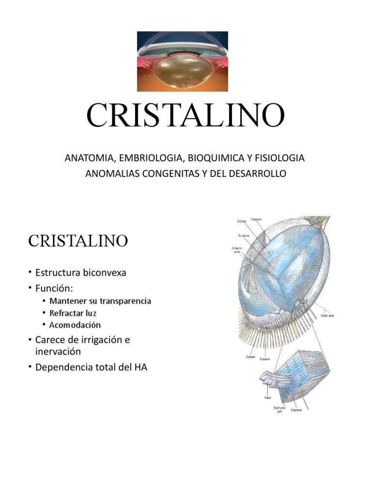 CRISTALINO | PDF | Ojo humano | Oftalmología